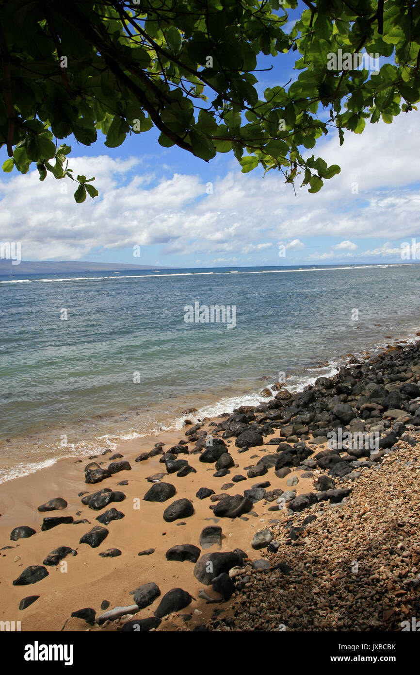 Lahaina beach hi-res stock photography and images - Alamy
