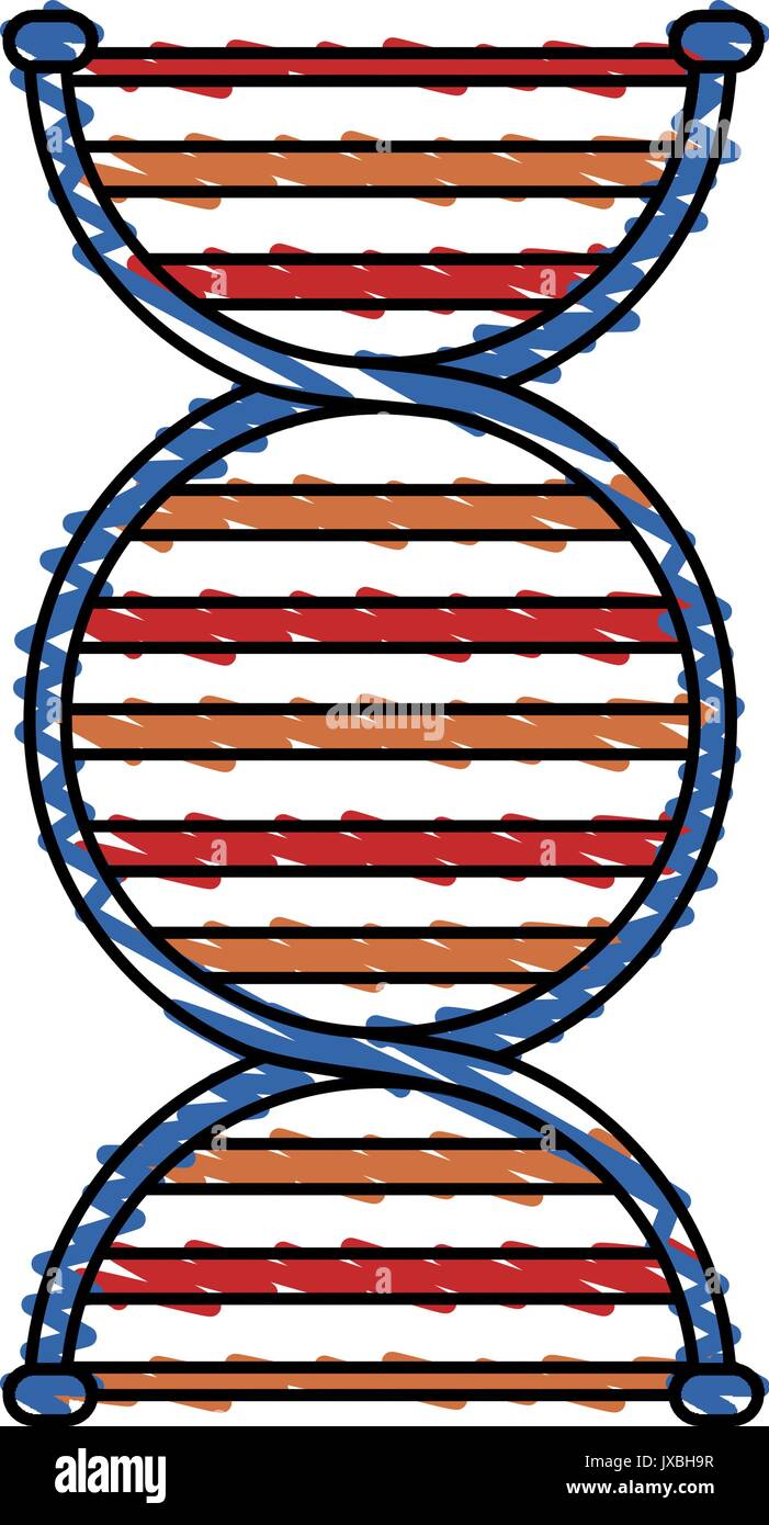 DNA vector illustration Stock Vector Image & Art - Alamy
