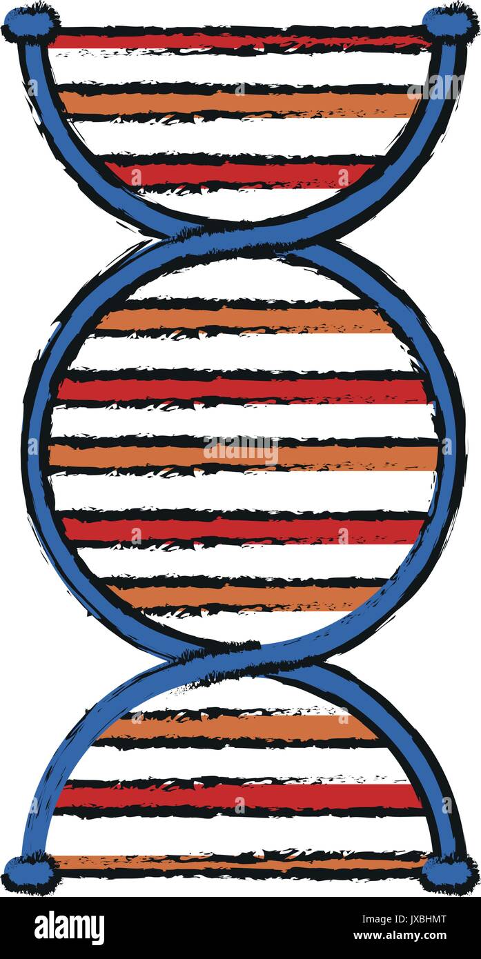 DNA vector illustration Stock Vector Image & Art - Alamy