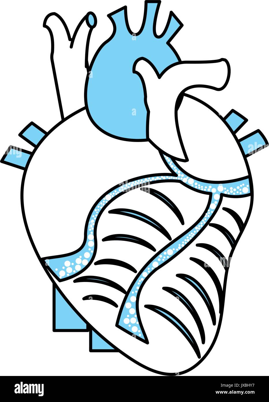 heart vector illustration Stock Vector Image & Art - Alamy