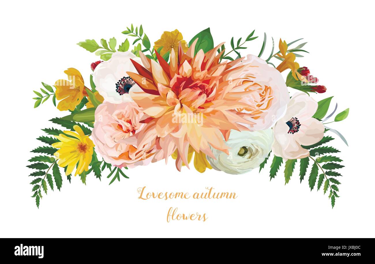 Spring primrose flowers Stock Vector Images - Alamy