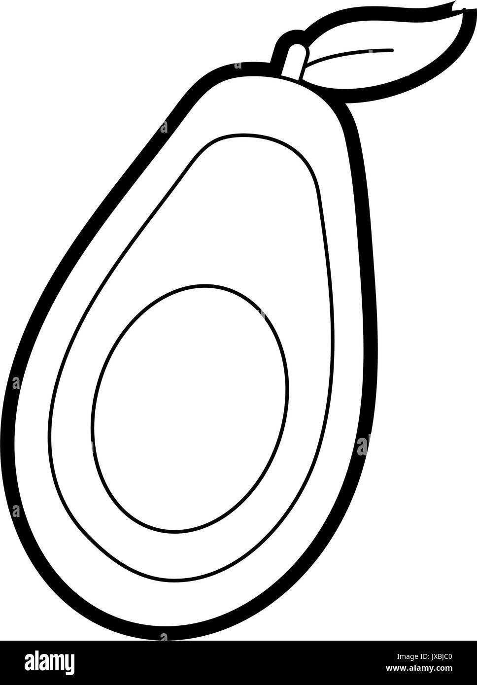 avocado vector illustration Stock Vector Image & Art - Alamy