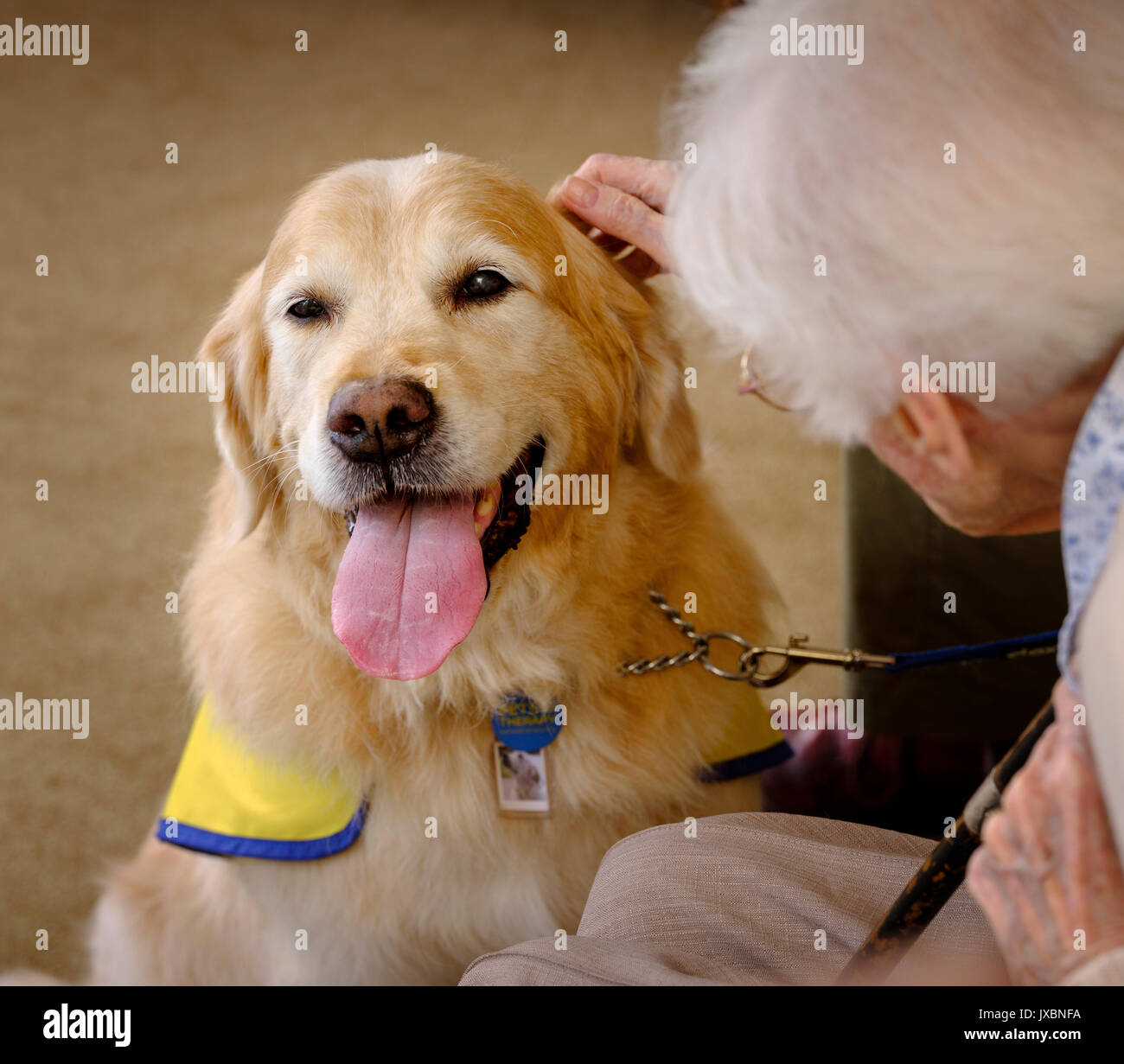 The best mental health therapy hi-res stock photography and images - Alamy