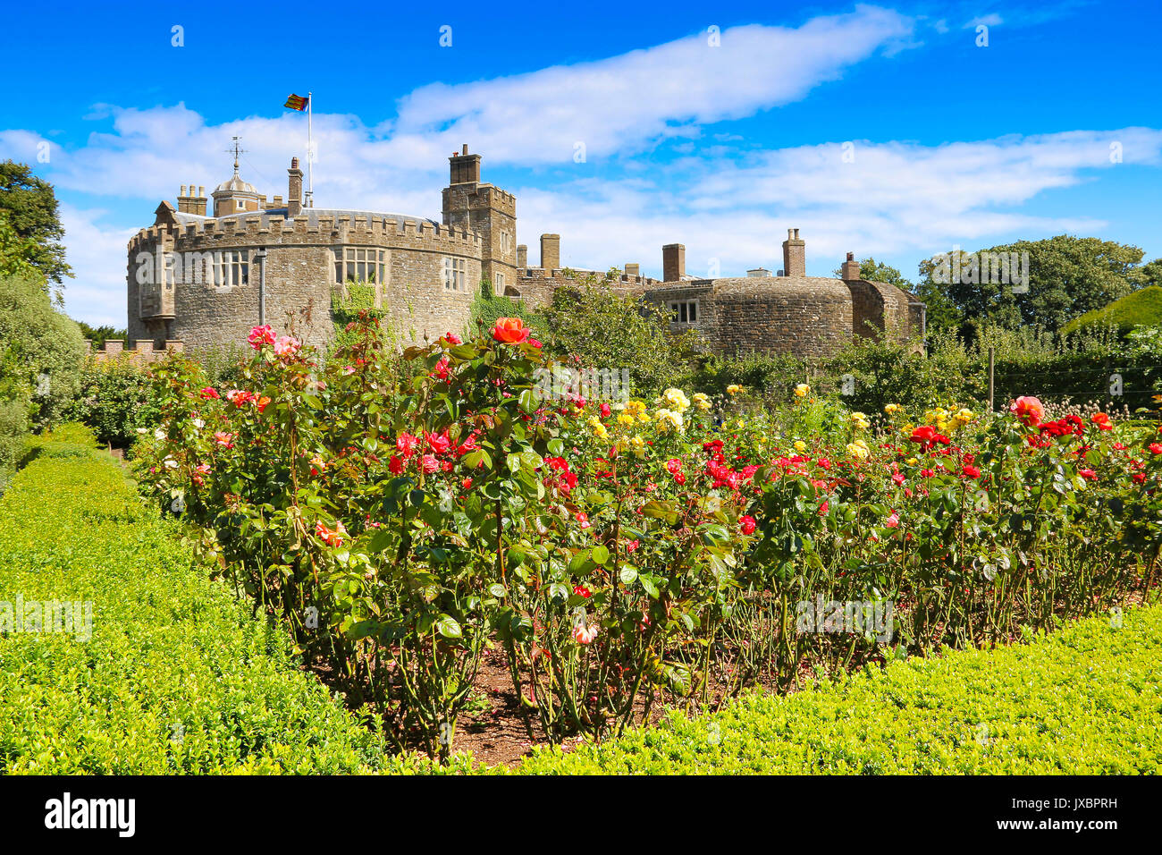 Garden red roses hi-res stock photography and images - Alamy