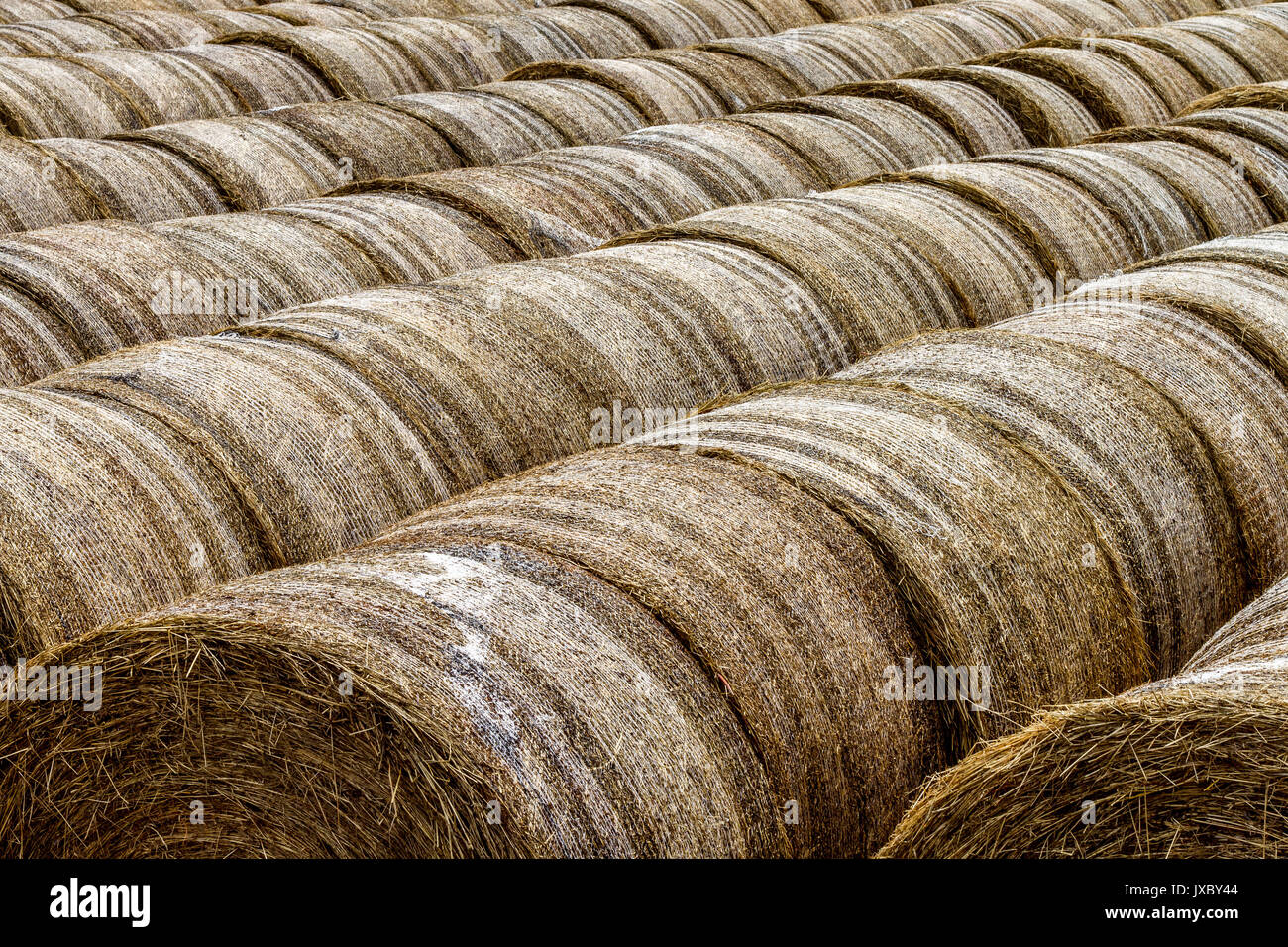 Lined up hay bale rolls pattern Stock Photo - Alamy