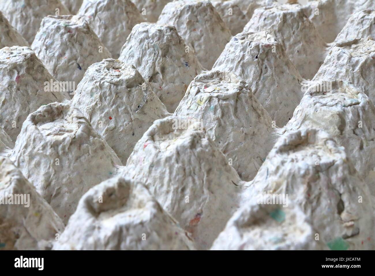 Egg shell paper texture hi-res stock photography and images - Alamy