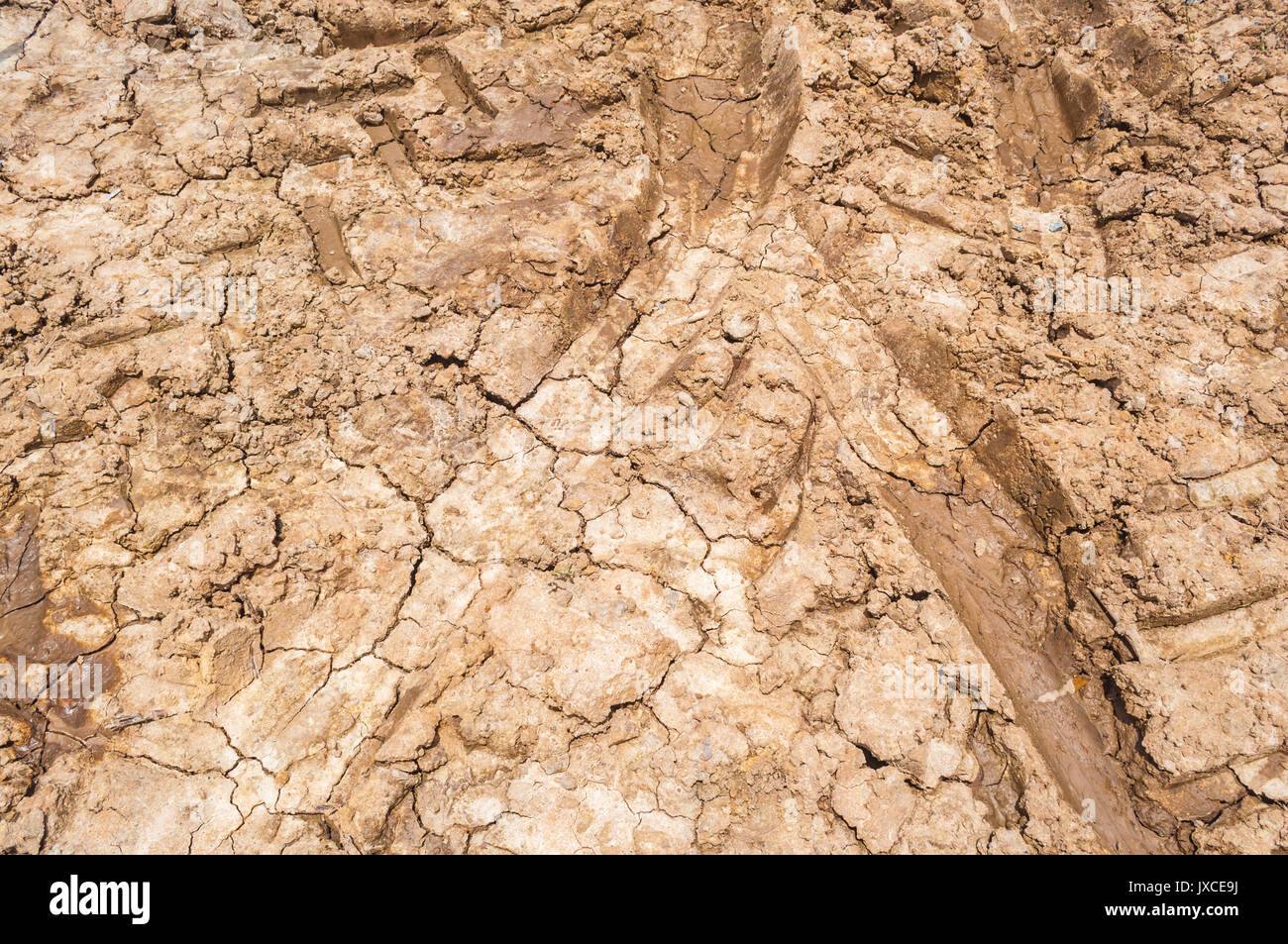 Closeup to Crack Dry Clay on Ground Stock Photo - Alamy