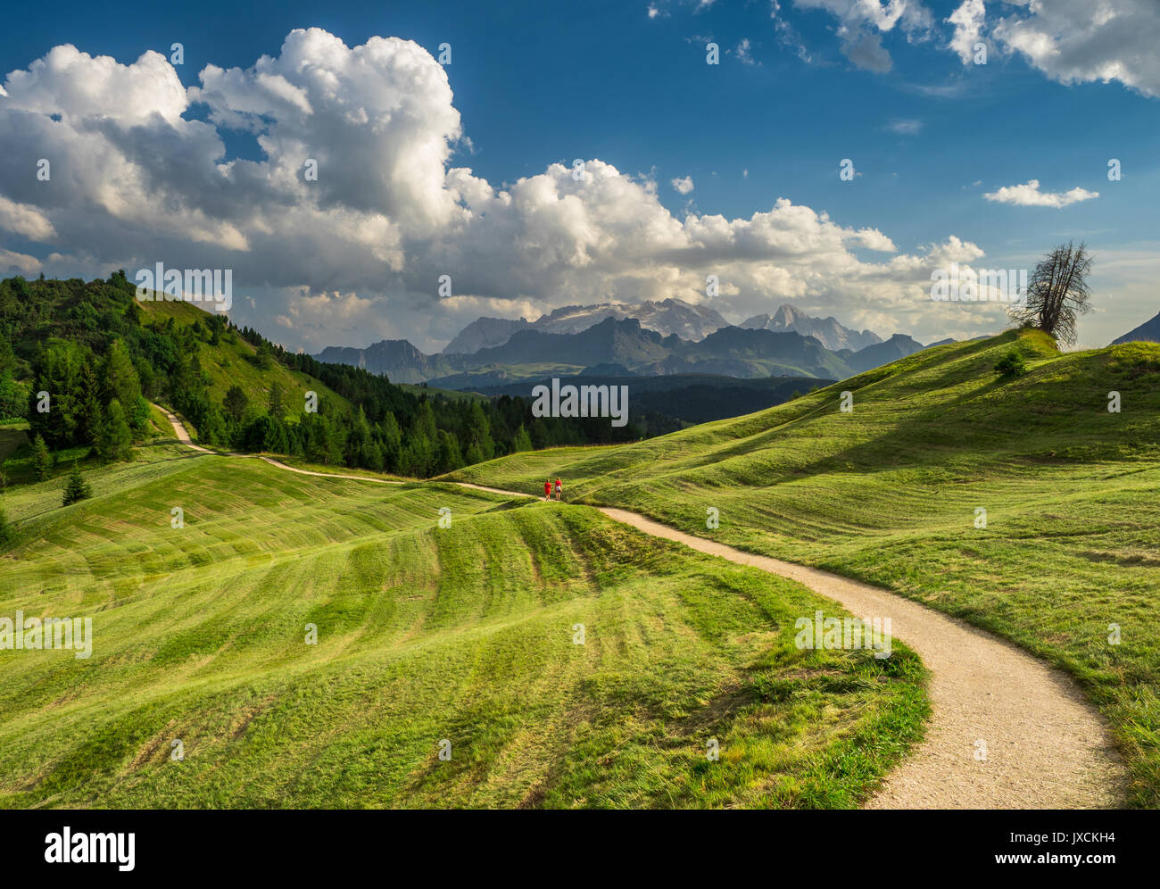 Mountain Path in Dolomites with cloudy sky Stock Photo - Alamy