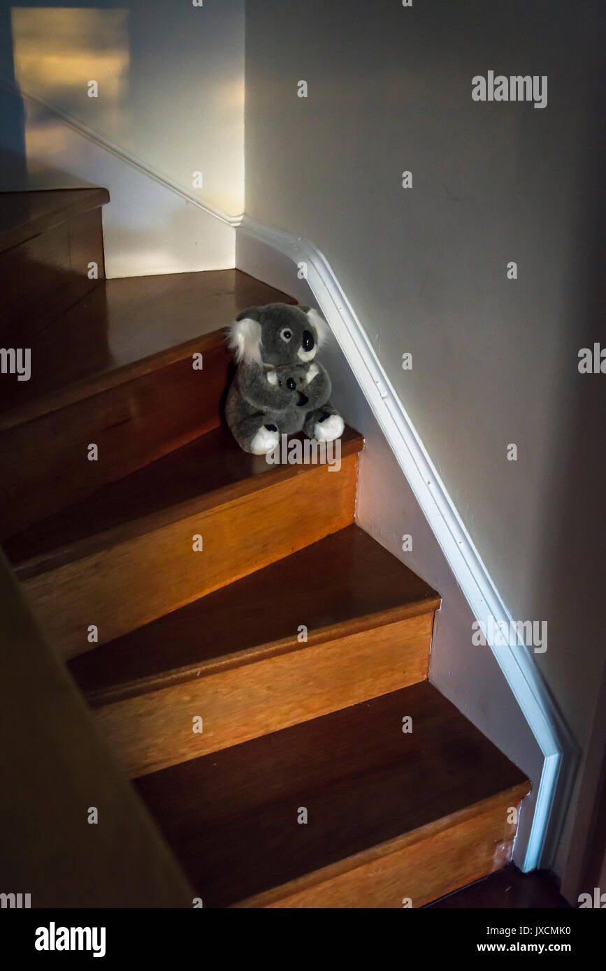 Teddy koala bear on stairs Stock Photo - Alamy