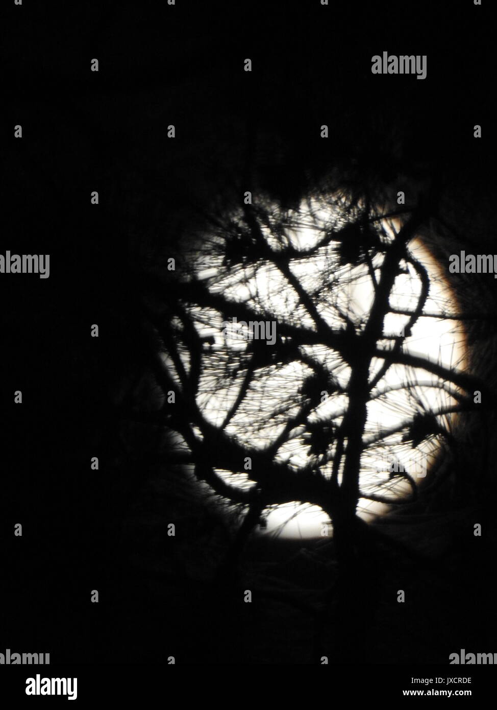 Zoom: Moon unveiled in mesmerizing detail through super zoom lens ...