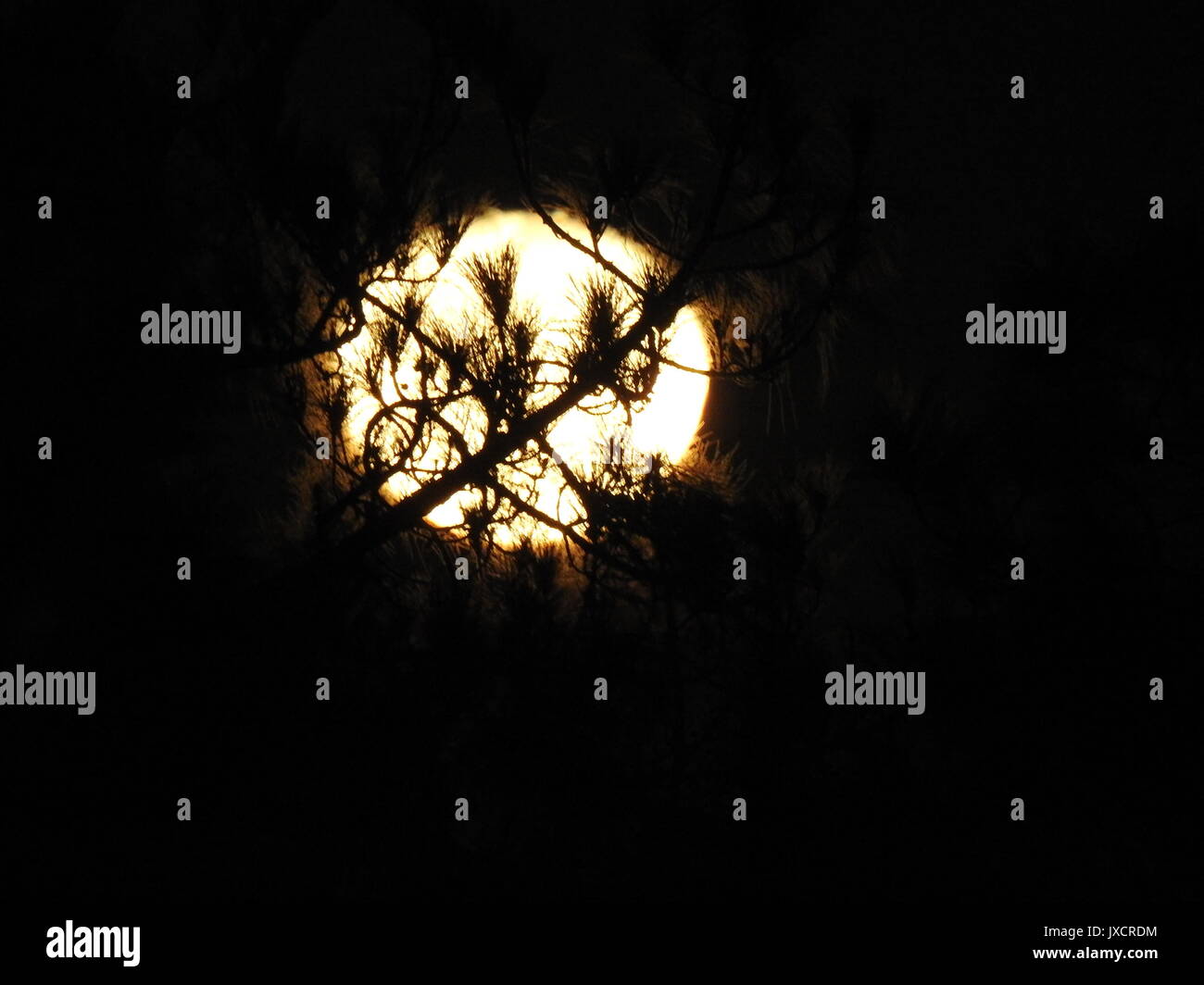 Zoom: Moon unveiled in mesmerizing detail through super zoom lens ...