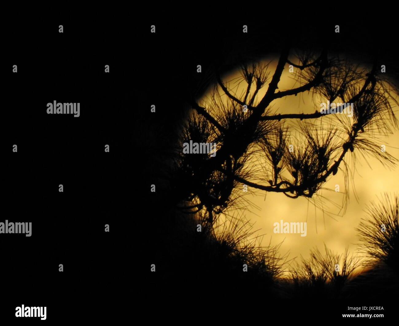 Zoom: Moon unveiled in mesmerizing detail through super zoom lens ...