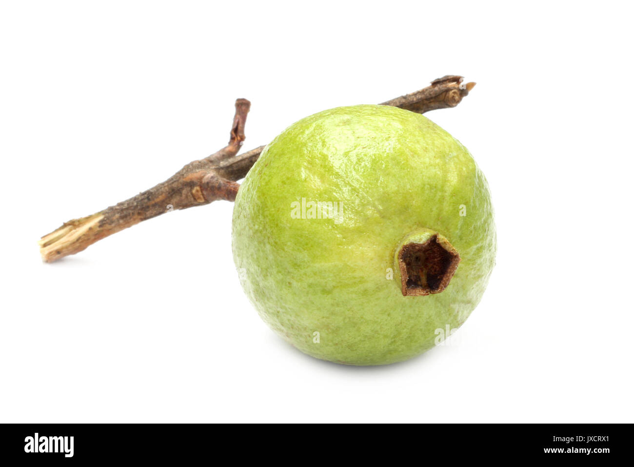 Ripe guava hi-res stock photography and images - Alamy