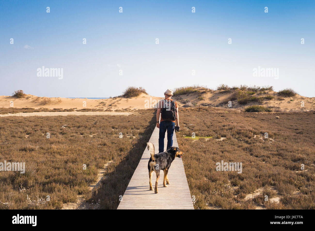 View from behind of a man walking with his dog on a road leading ...
