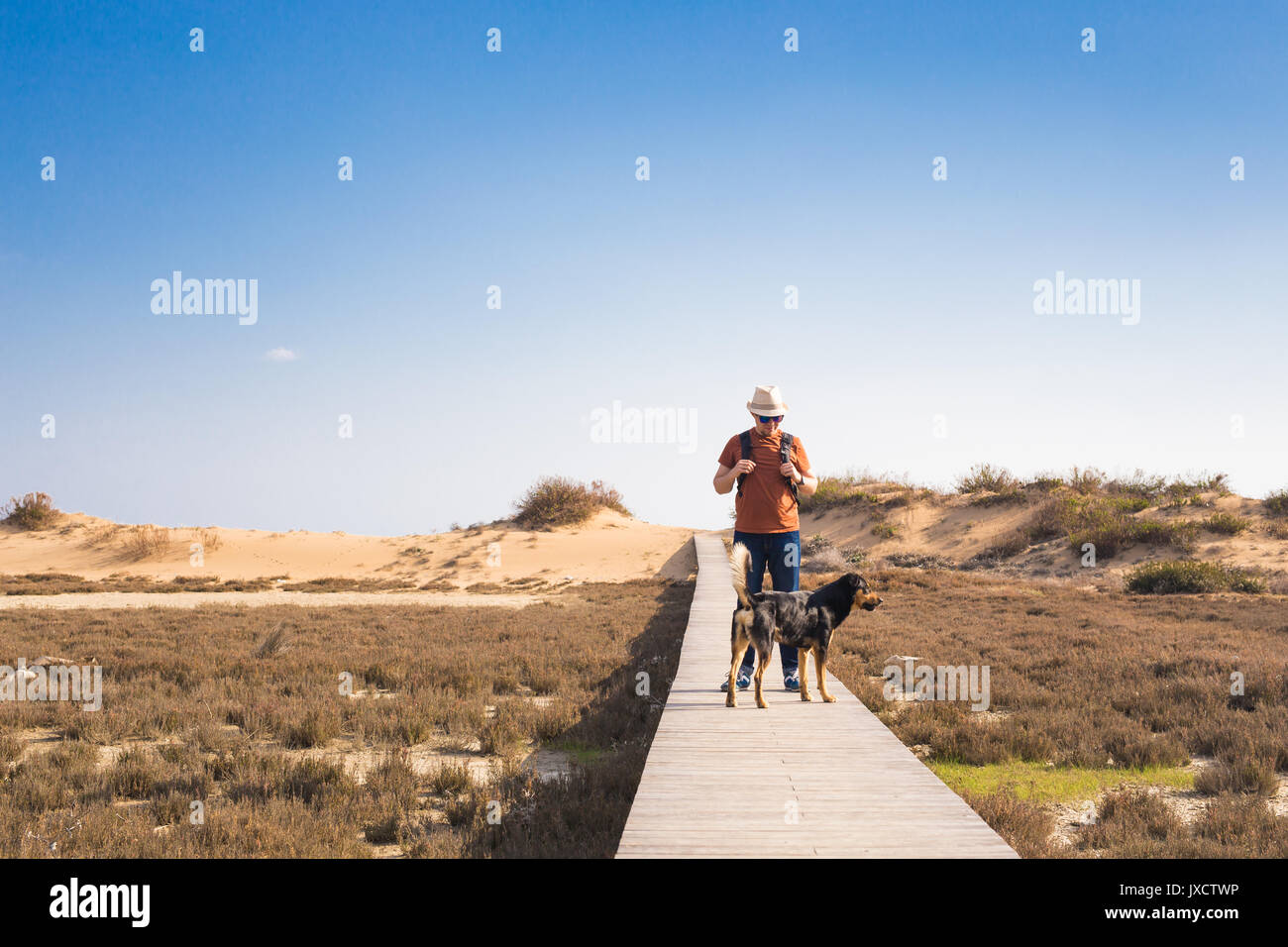 View from behind of a man walking with his dog on a road leading ...