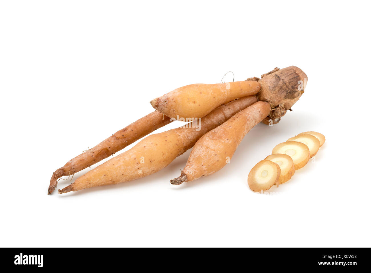 Galingale or Chinese ginger isolated on white background Stock Photo ...