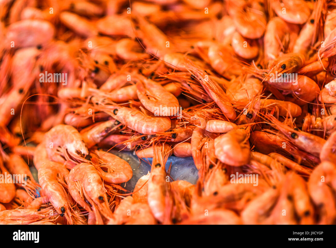 Prawns at fish market in bergen hi-res stock photography and images - Alamy