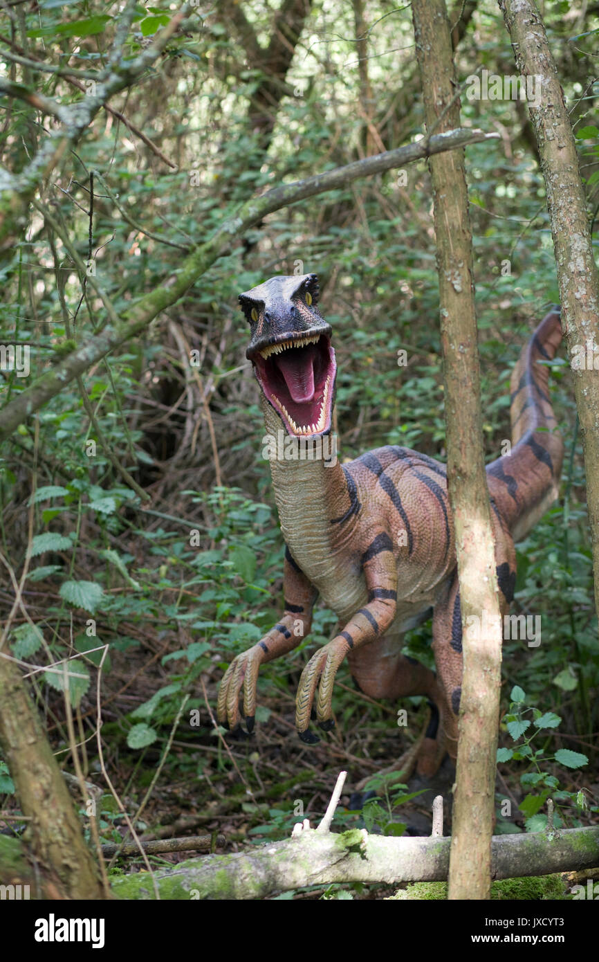Velociraptor hi-res stock photography and images - Alamy