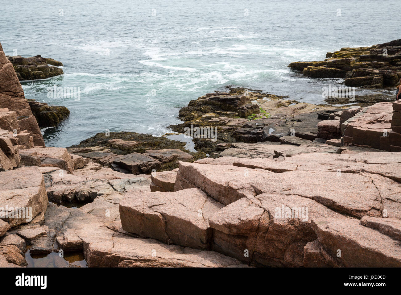 Thunder Hole in Acadia National Park in Maine USA Stock Photo - Alamy