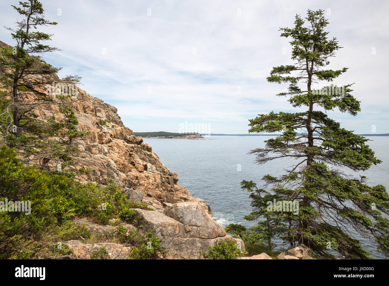 Otter Cliff in Acadia National Park in Maine Stock Photo - Alamy