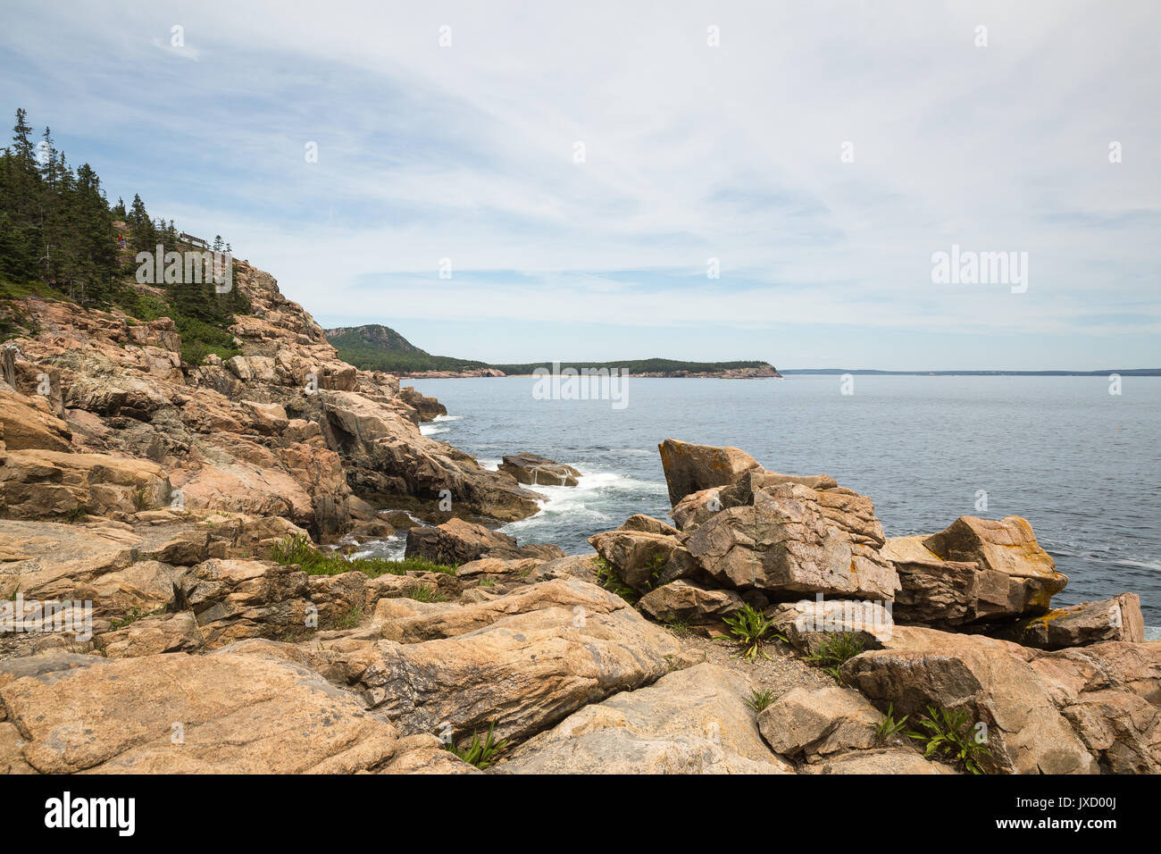 Otter Cliff in Acadia National Park in Maine Stock Photo - Alamy