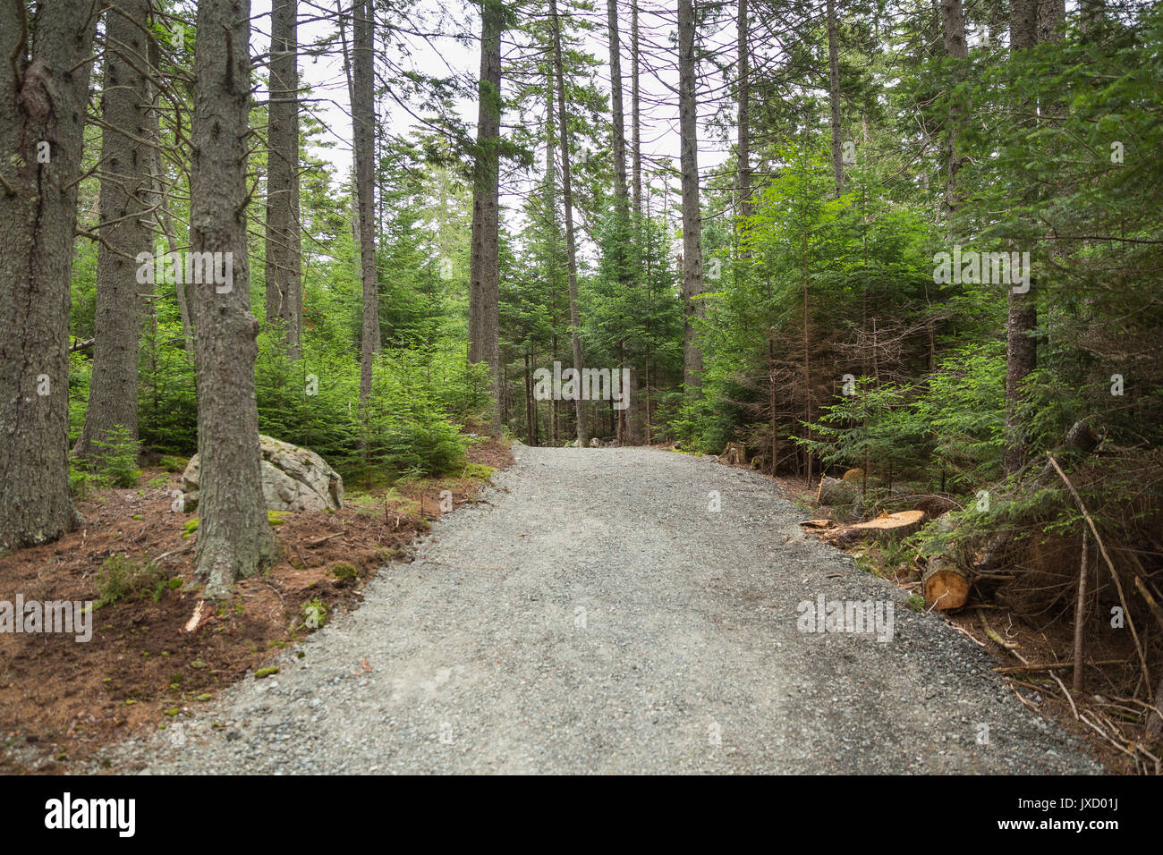 Pretty Marsh on Mount Desert in Maine USA Stock Photo - Alamy