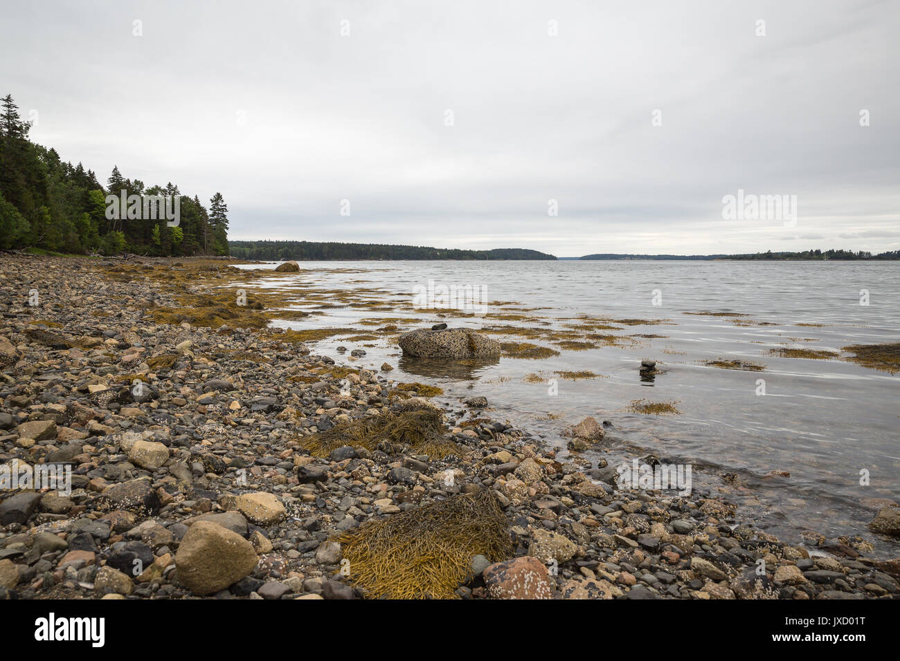 Pretty Marsh on Mount Desert in Maine USA Stock Photo - Alamy