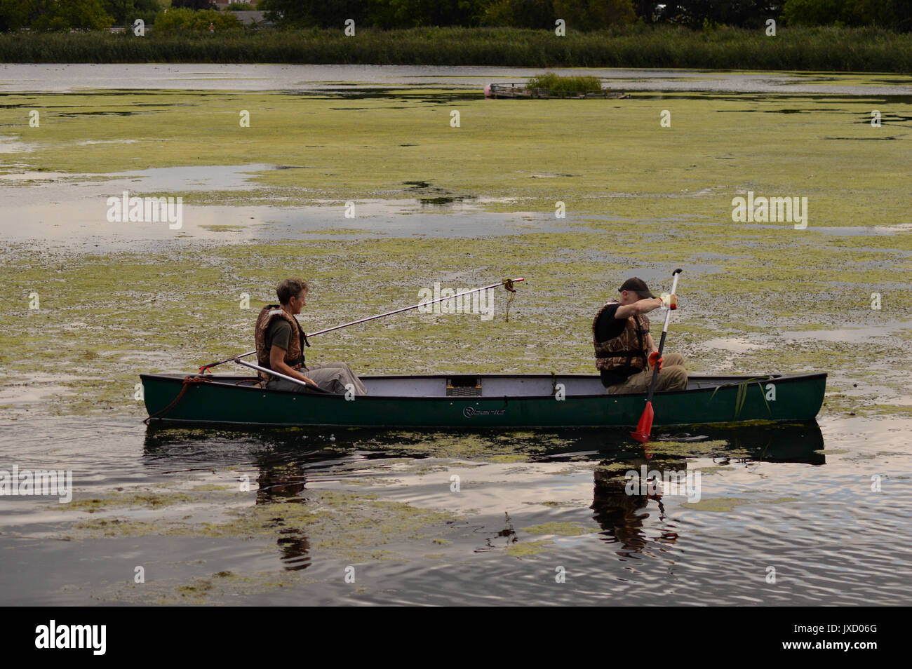 Volunteers at Woodbury Wetlands clearing weed from the water in a canoe ...