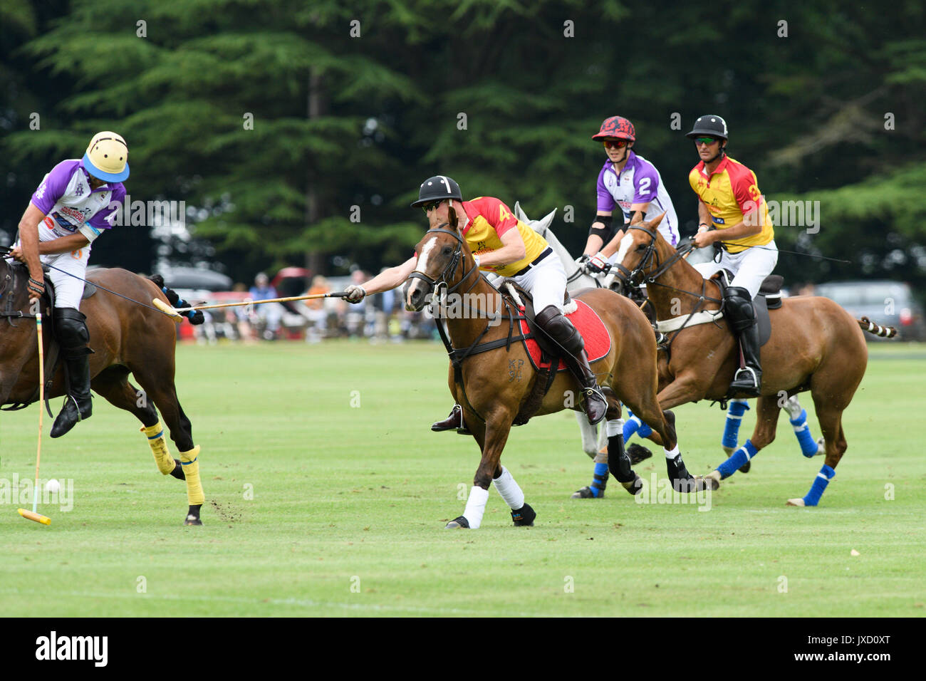 Prince Harry and Prince William play in the Jerudong Park Trophy Polo Featuring: Prince Willam ...