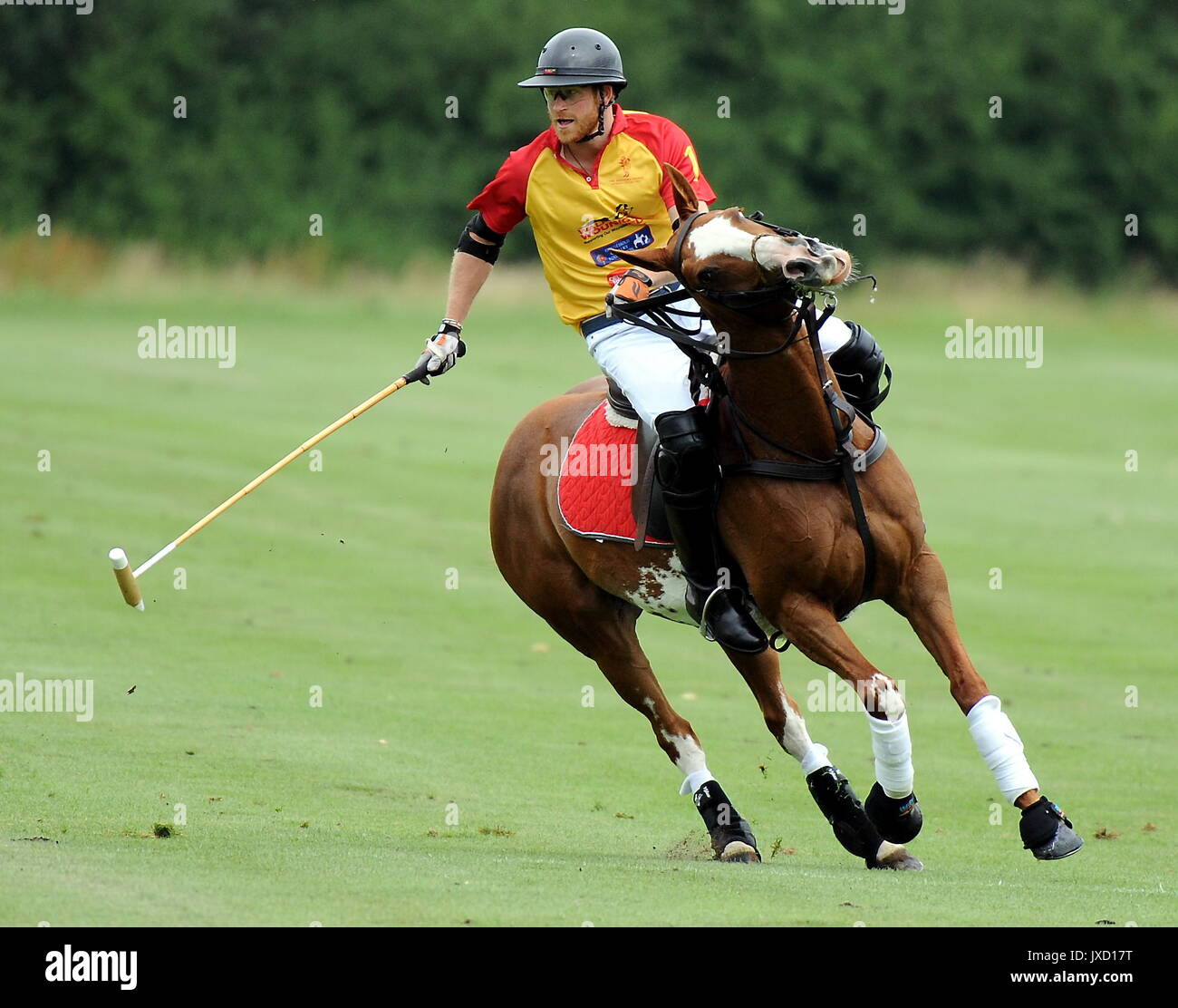 Prince Harry and Prince William play in the Jerudong Park Trophy Polo ...