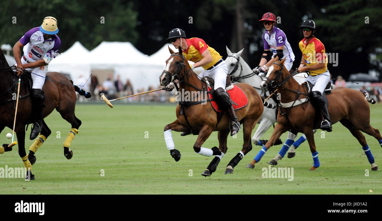 Prince Harry and Prince William play in the Jerudong Park Trophy Polo ...