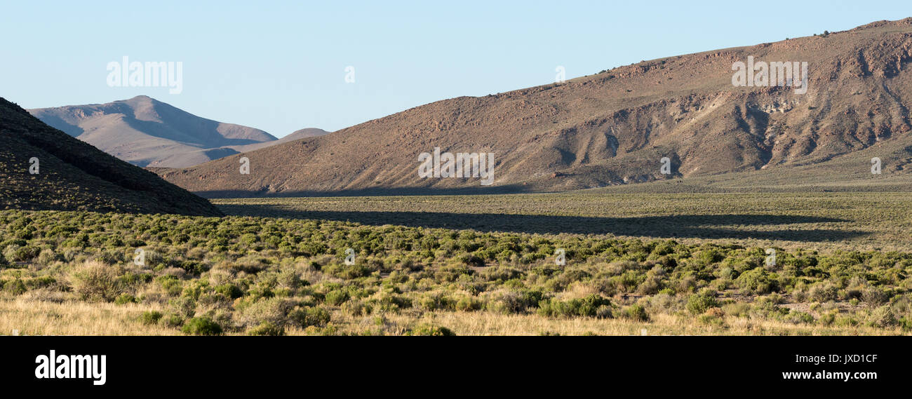 Desert monitor hi-res stock photography and images - Alamy