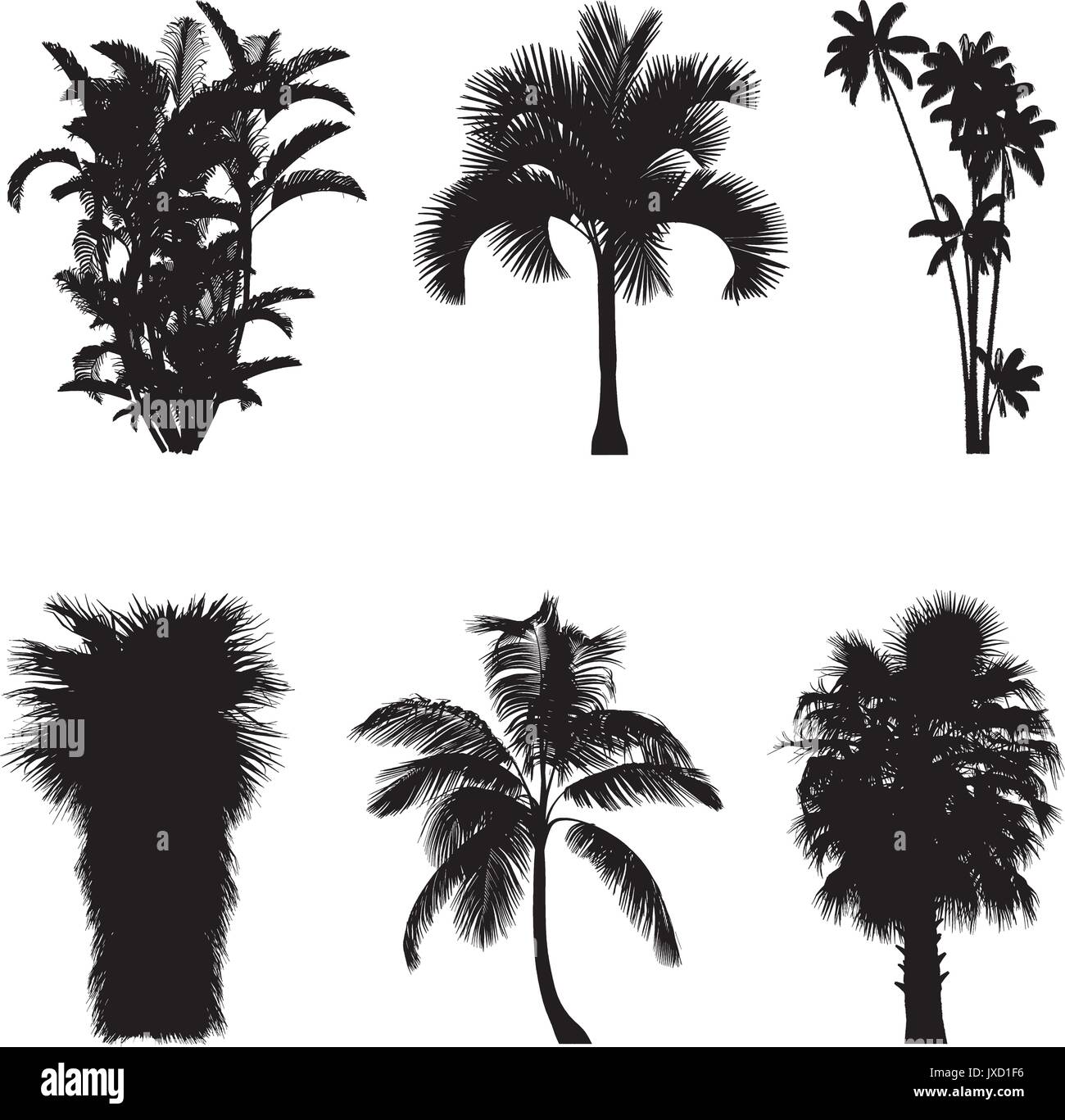 Palm leaf silhouettes Stock Vector Images - Alamy