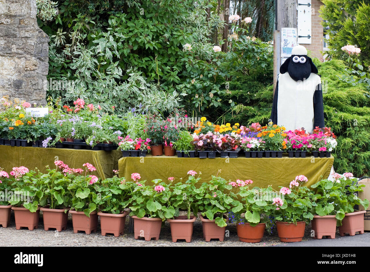 Scarecrow sheep hi-res stock photography and images - Alamy