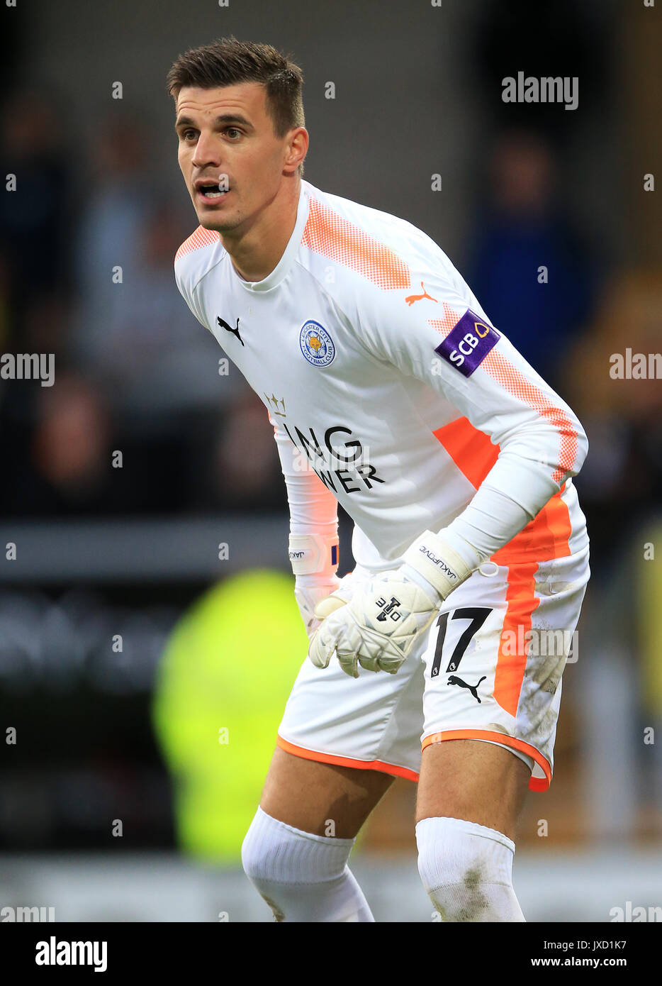Leicester City goalkeeper Eldin Jakupovic Stock Photo - Alamy