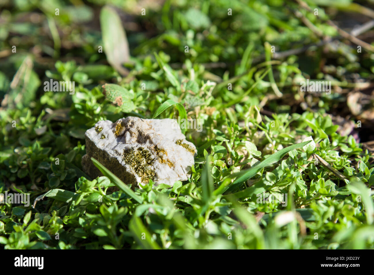 Gold ore mineral native hi-res stock photography and images - Alamy