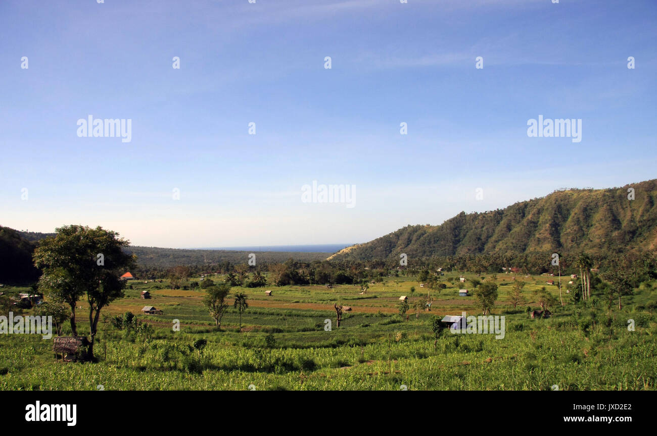 Bali view of countryside and fields growing crops Stock Photo - Alamy