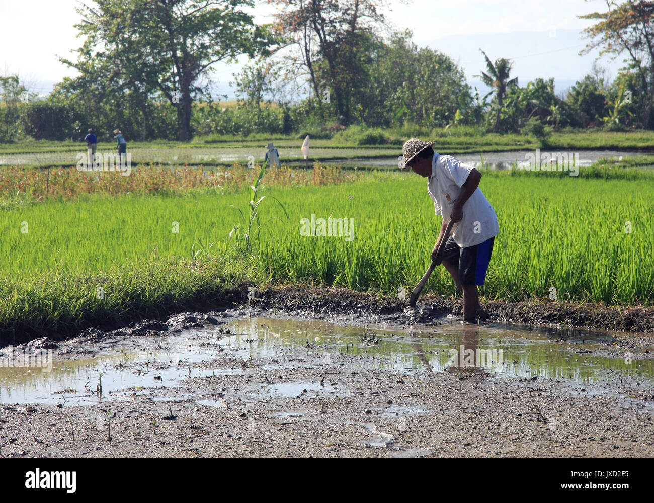 Turning the soil over hi-res stock photography and images - Alamy