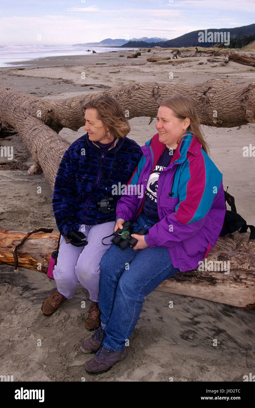 Beach, Bayocean Peninsula, Oregon Stock Photo - Alamy