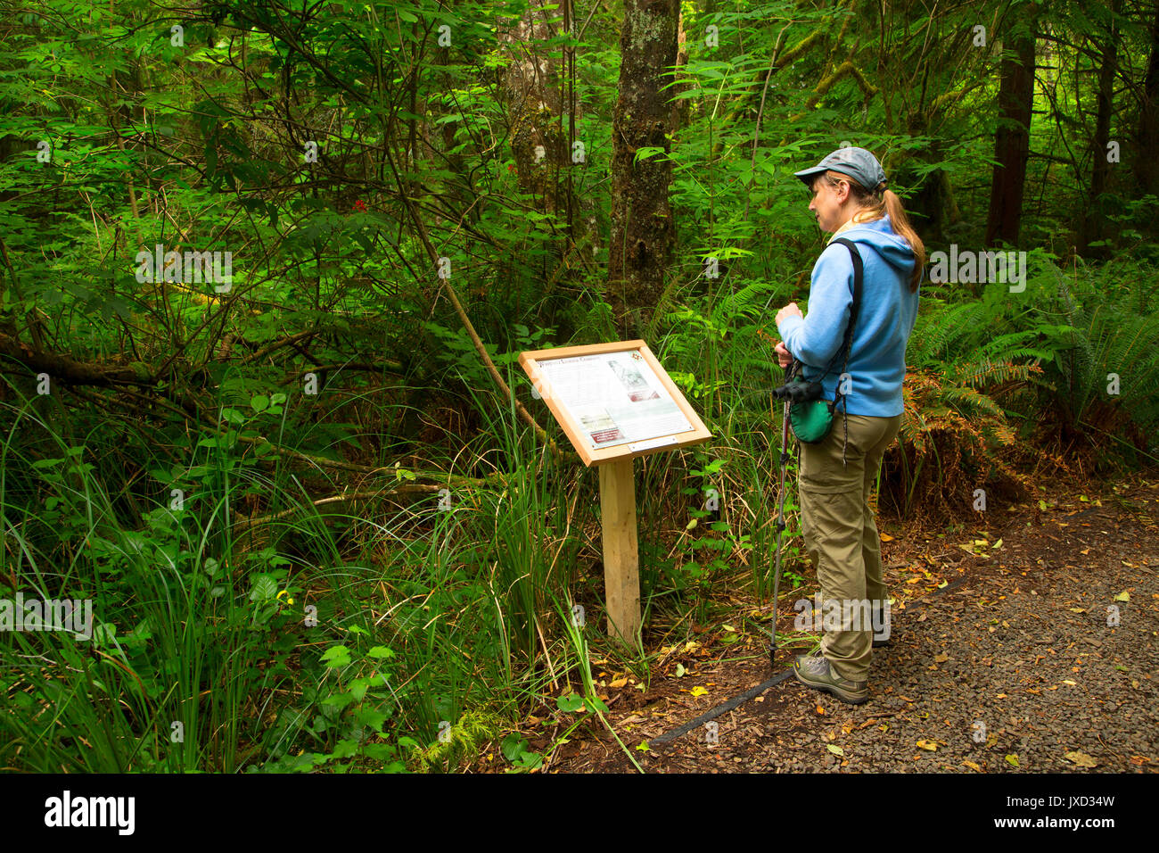 Interpretive board along Pioneer Path Trail, Kilchis Point Reserve, Bay ...