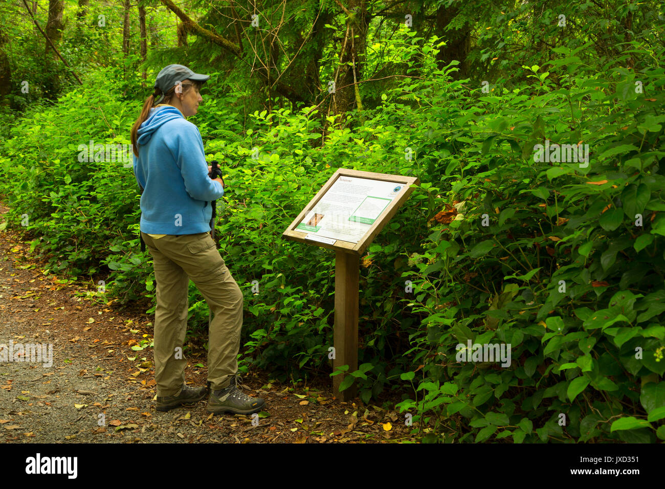 Interpretive board along Native American Way Trail, Kilchis Point ...