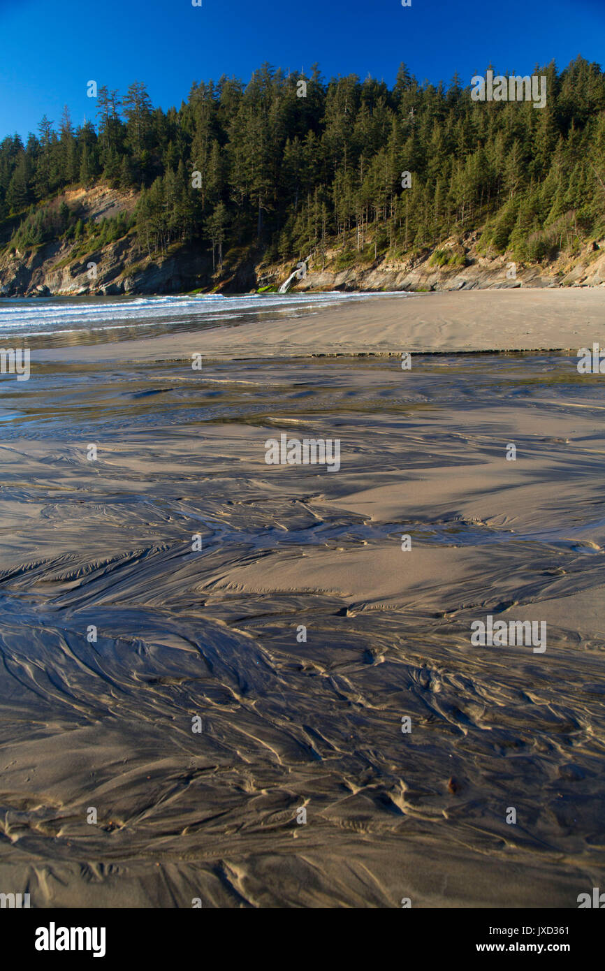 Short Sand Beach, Oswald West State Park, Oregon Stock Photo - Alamy