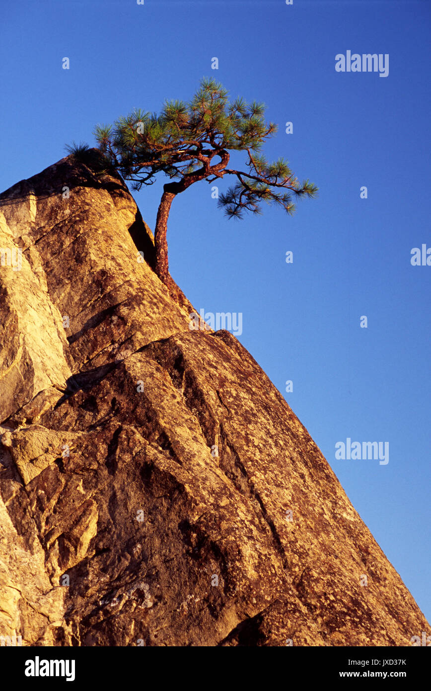 Peshastin Pinnacles State Park High Resolution Stock Photography and ...
