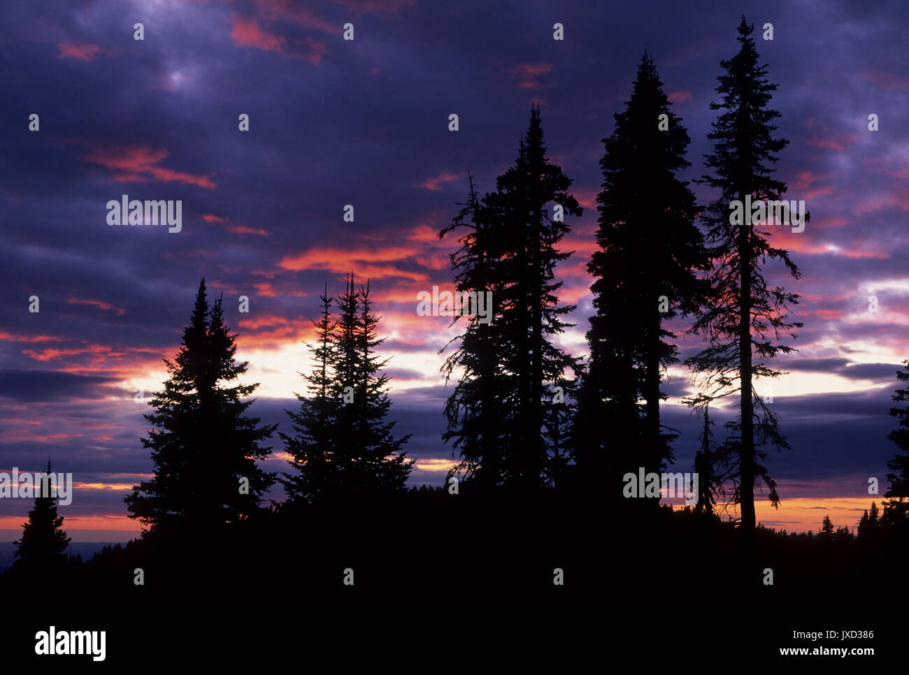Sunset, Mt Spokane State Park, Washington Stock Photo - Alamy