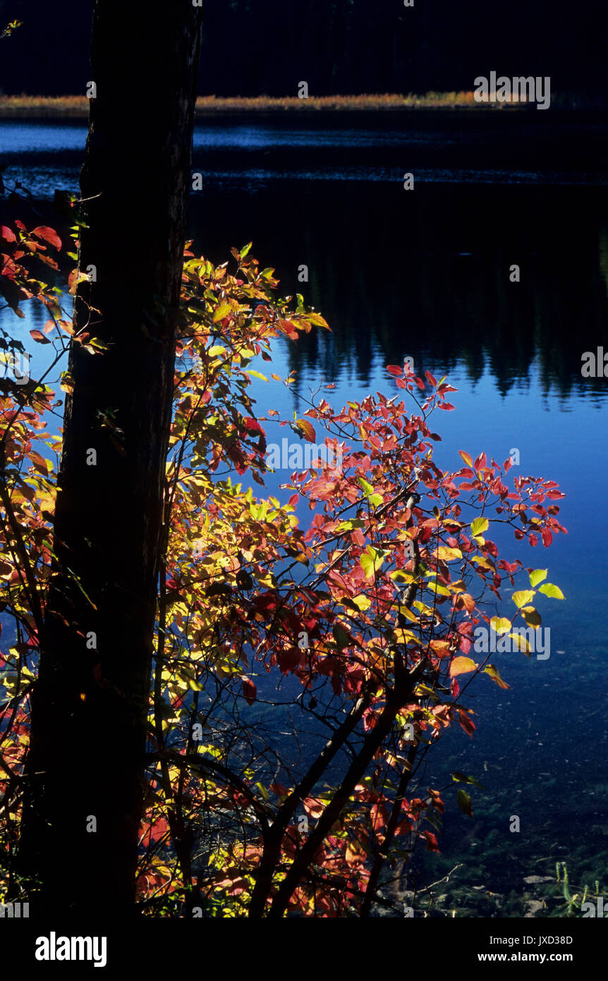 Ferry Lake, Colville National Forest, Washington Stock Photo - Alamy