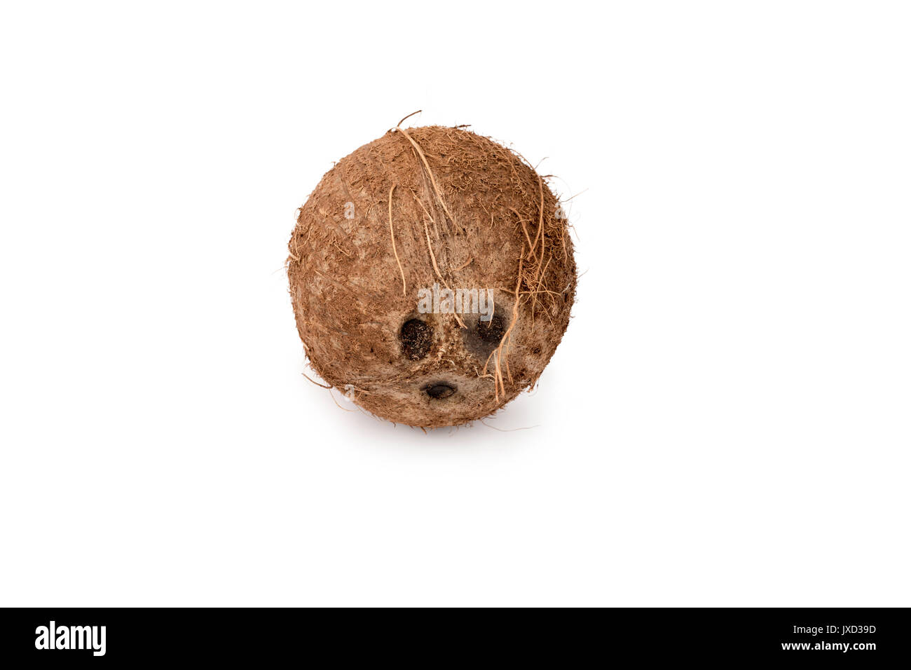 Coco solo hi-res stock photography and images - Alamy