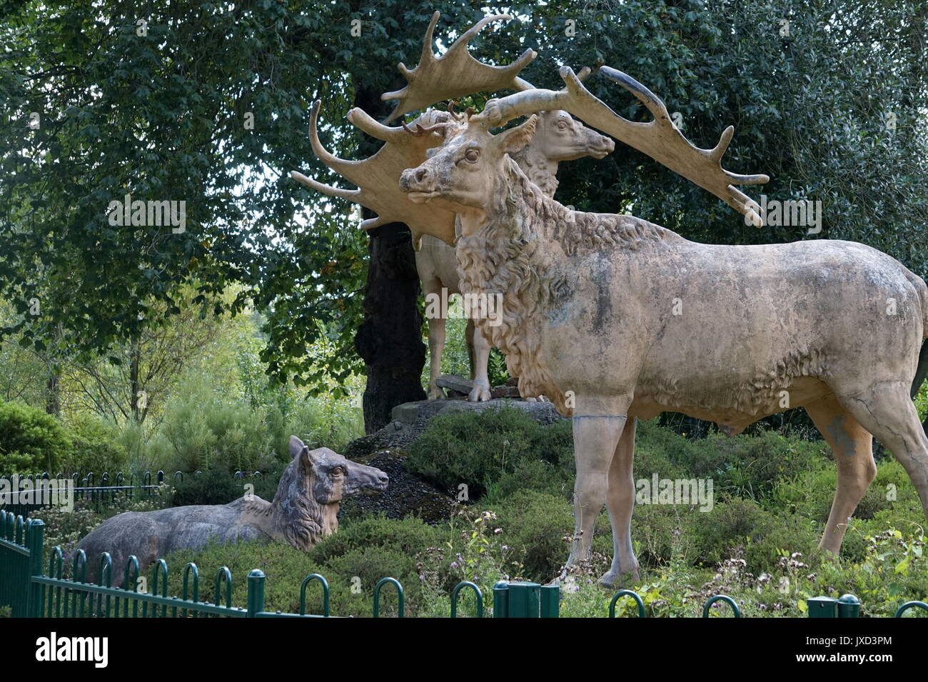 Irish elk hi-res stock photography and images - Alamy
