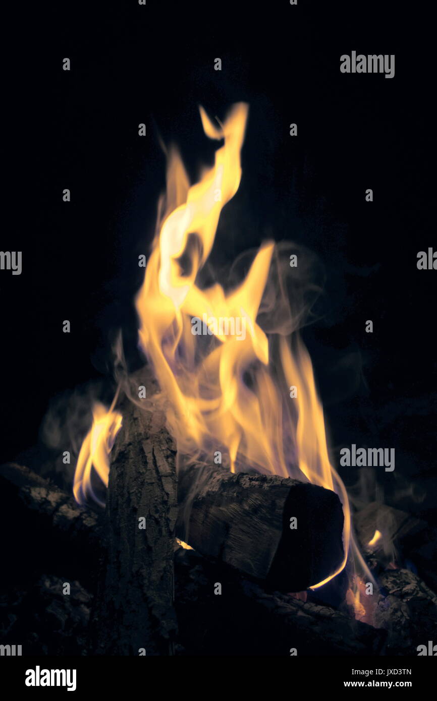 Camp fire in the night, dark background, wood burning, fire Stock Photo ...