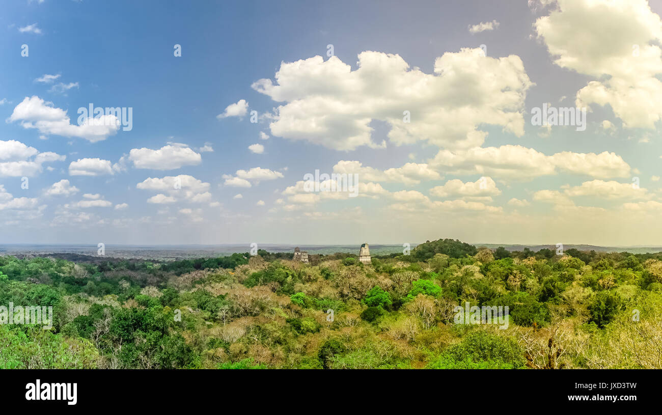 Tikal ruin rain forest hi-res stock photography and images - Alamy