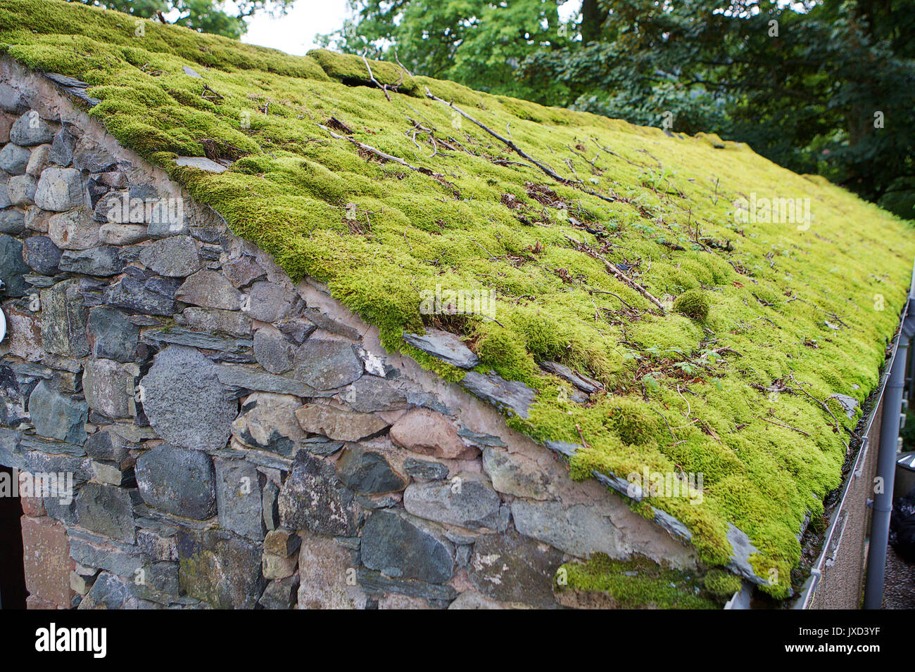 Moss covered roof Stock Photo - Alamy